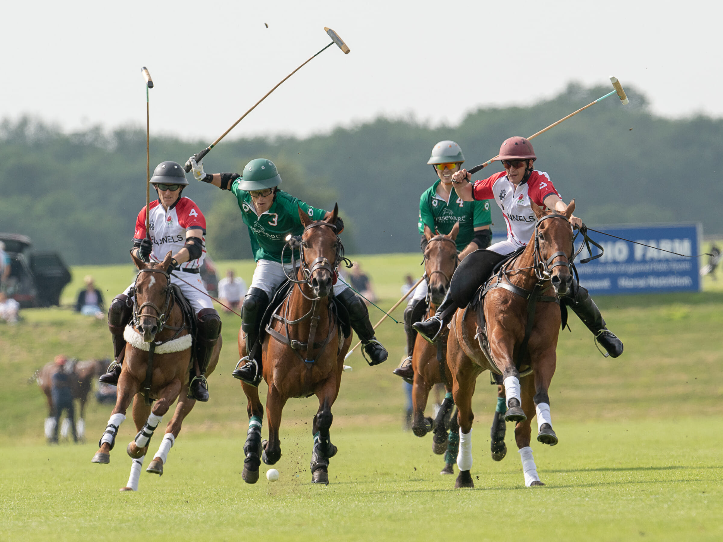 Beaufort Polo Club - Newhall Publishing